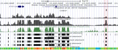 CNEP | Jason Ernst Research Lab
